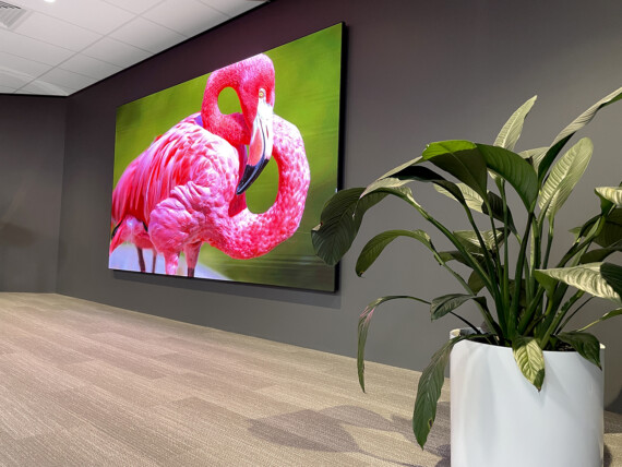 Selectronic | Vision One