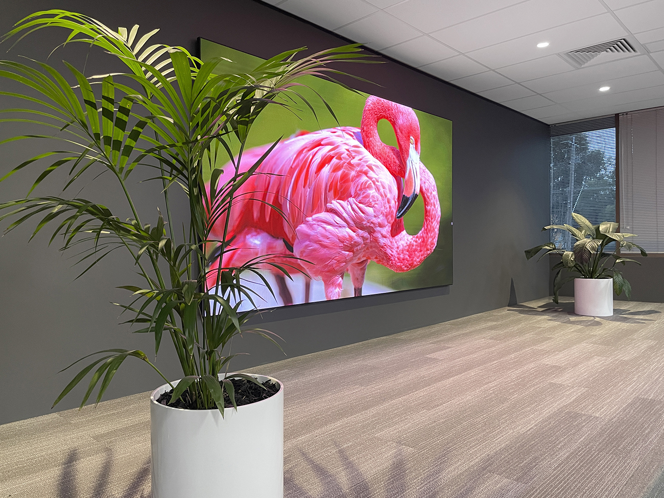 Selectronic - I-TV 138″ LED Wall | Vision One