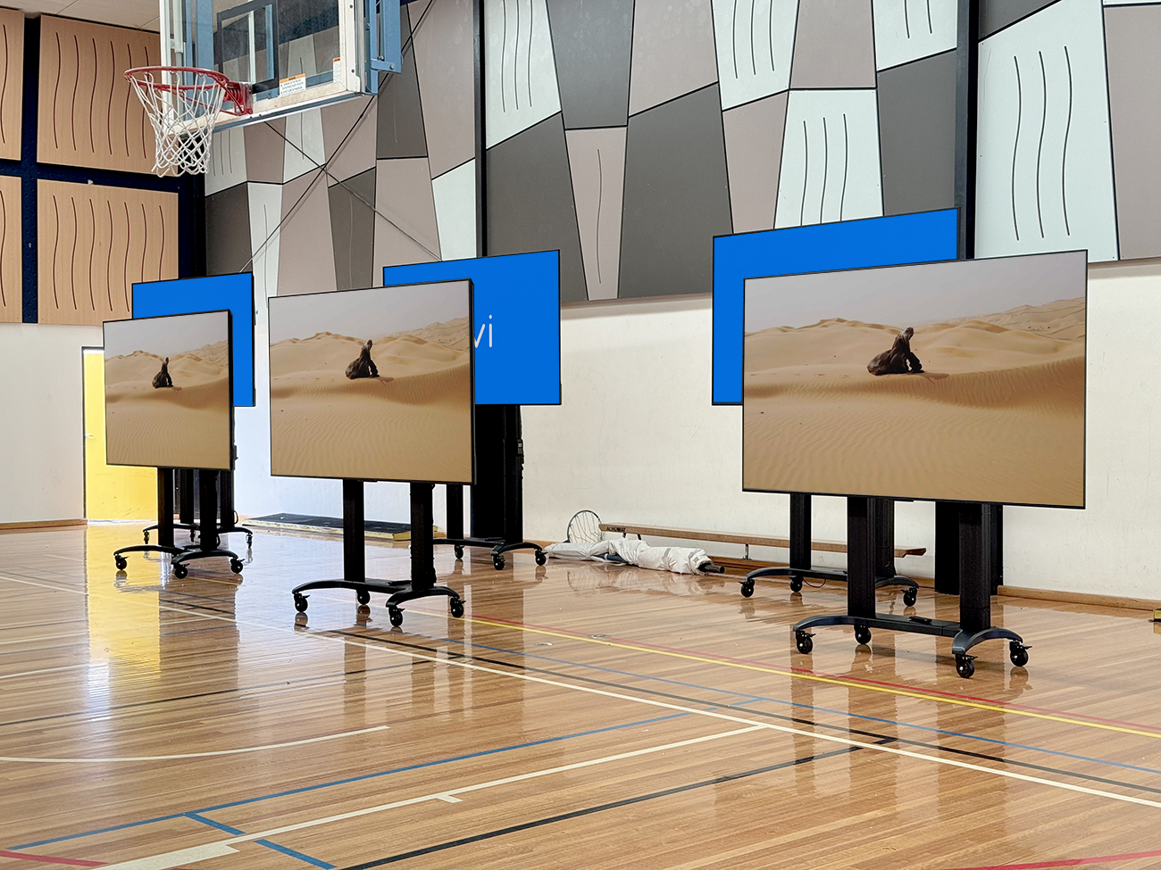 Bacchus Marsh Grammar - Gymnasium Display Panel Upgrade | Vision One