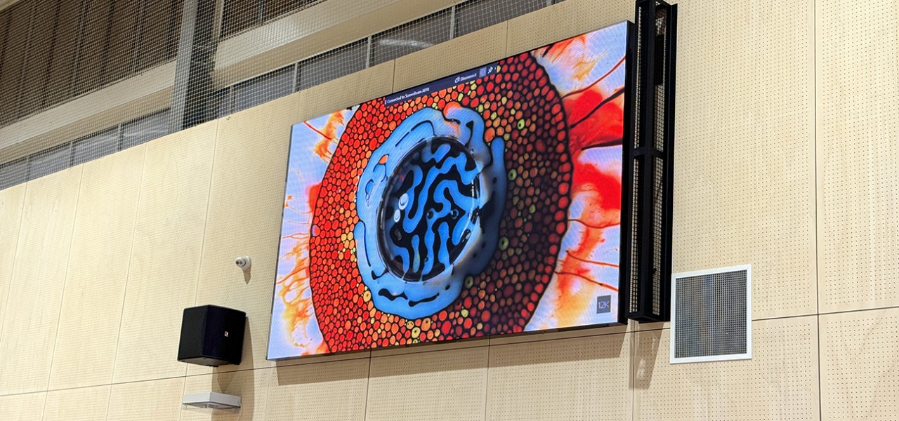 Gaayip-Yagila Primary School - LED Walls in School Gymnasium | Vision One